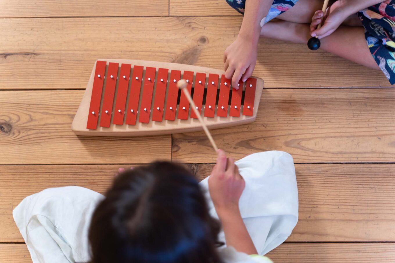 Formaciones – IGEME